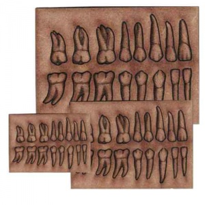 Teeth - MDF Add On Sheet